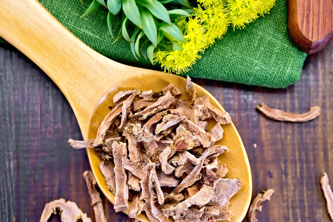 Adaptogens 101: What Are They and How Can They Help You? – Fuel My Life